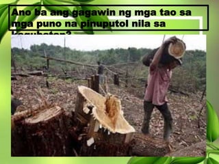 Mga Likas na Yaman " Kagubatan at .pptx