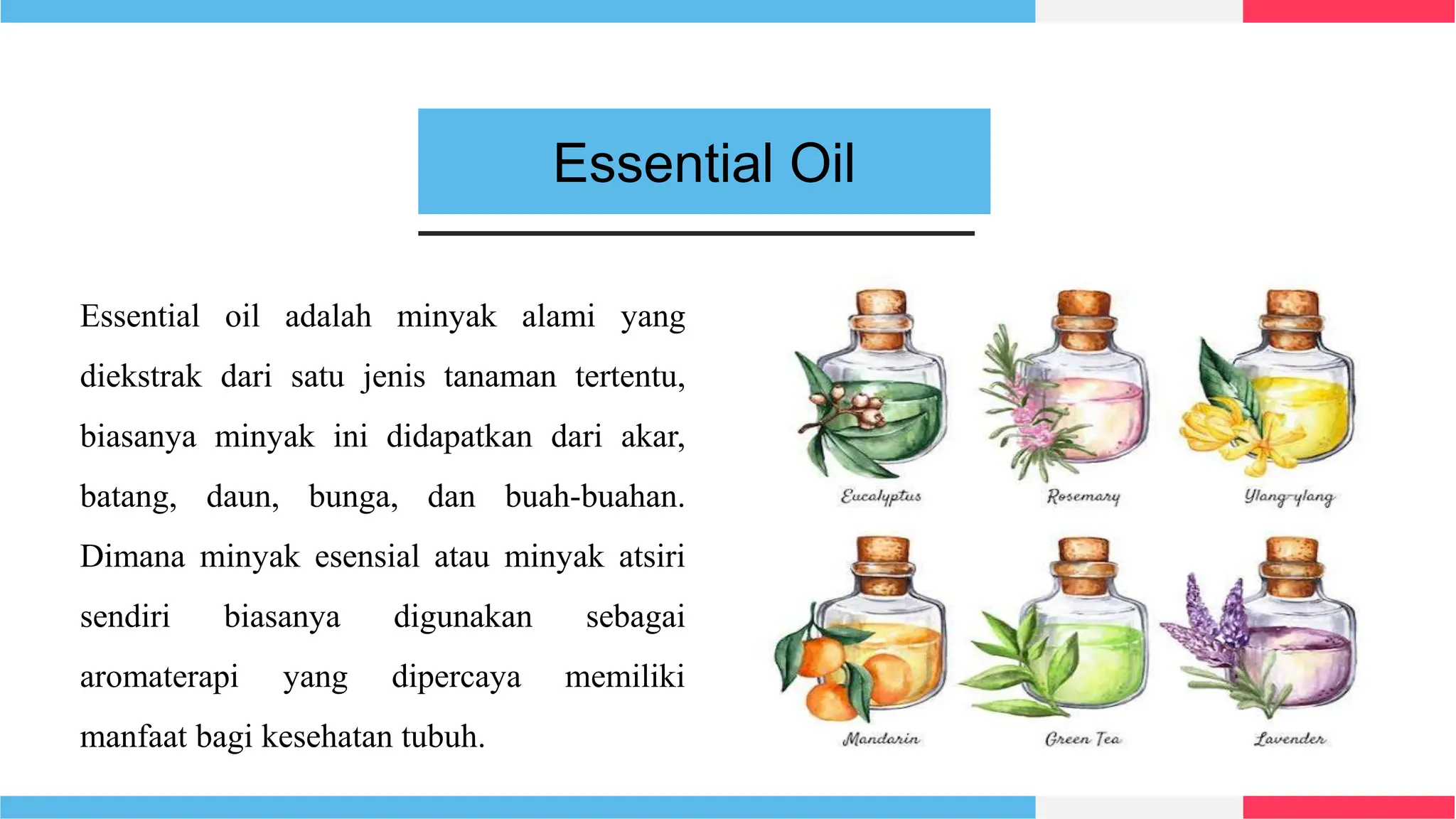 PPT Kandungan Lilin Aromaterapi Untuk SMP | PPTX