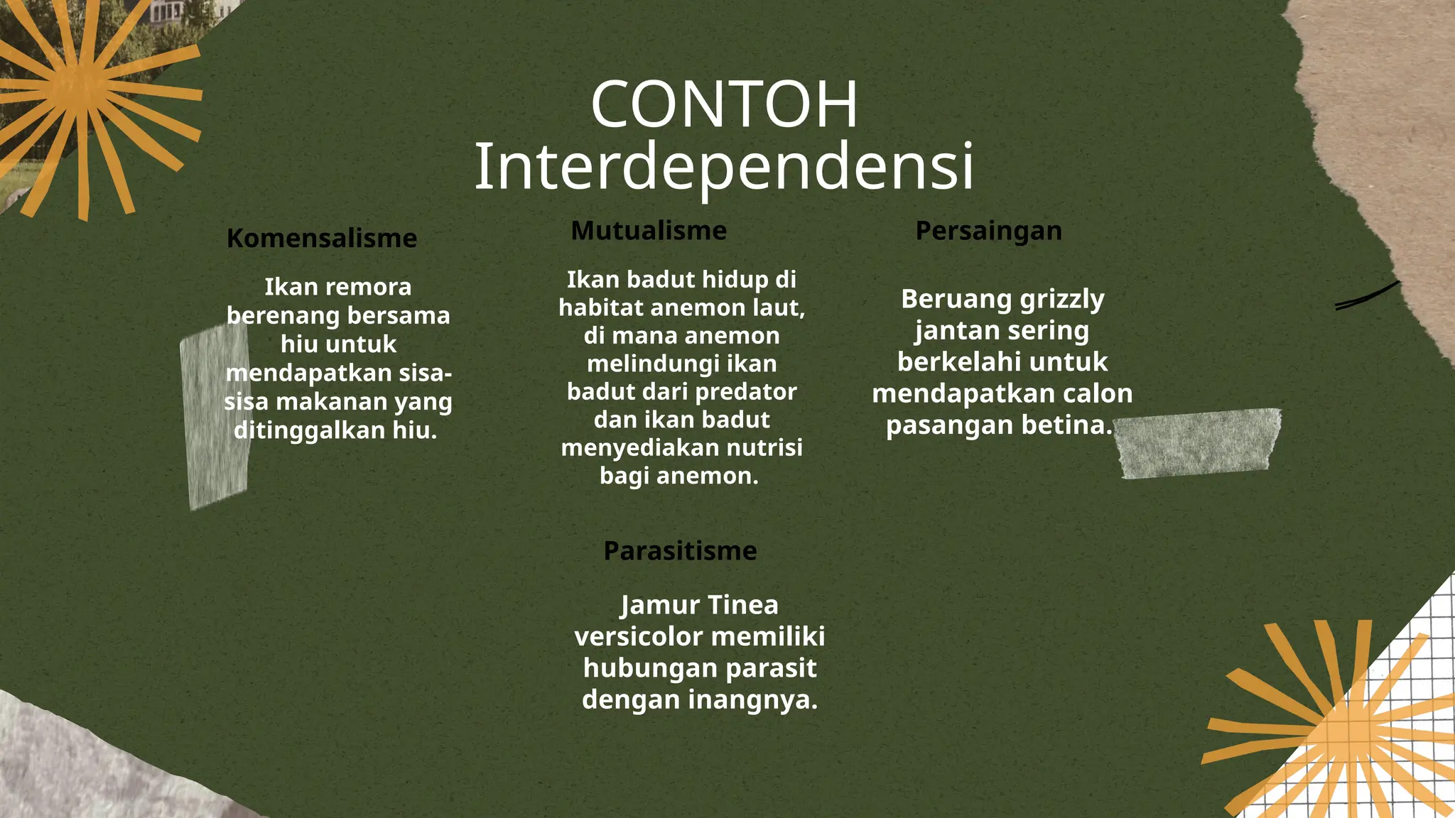 ppt karakteristik ekologi sumber daya alam.pptx