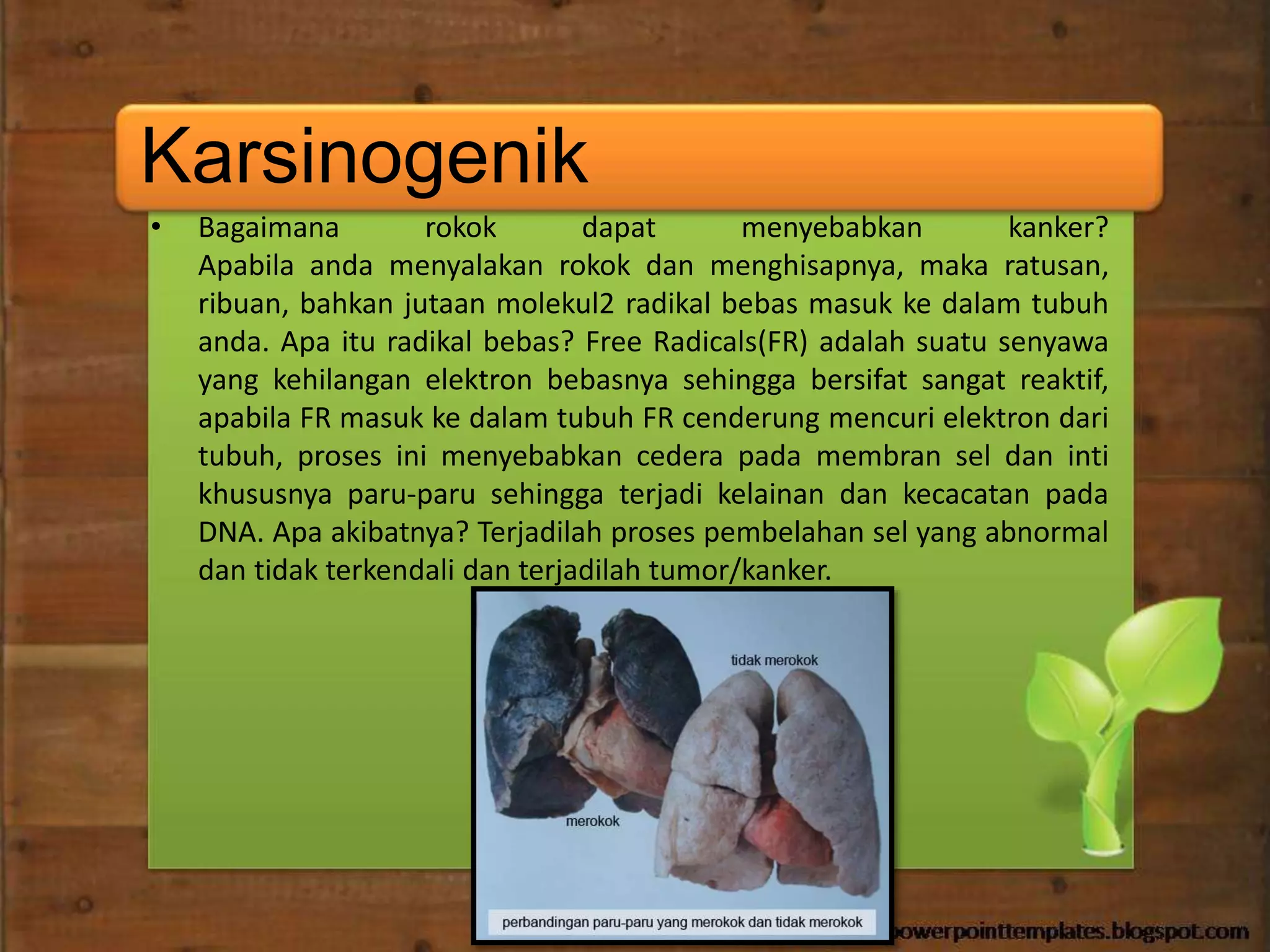 Ppt karsinogenik | PPTX