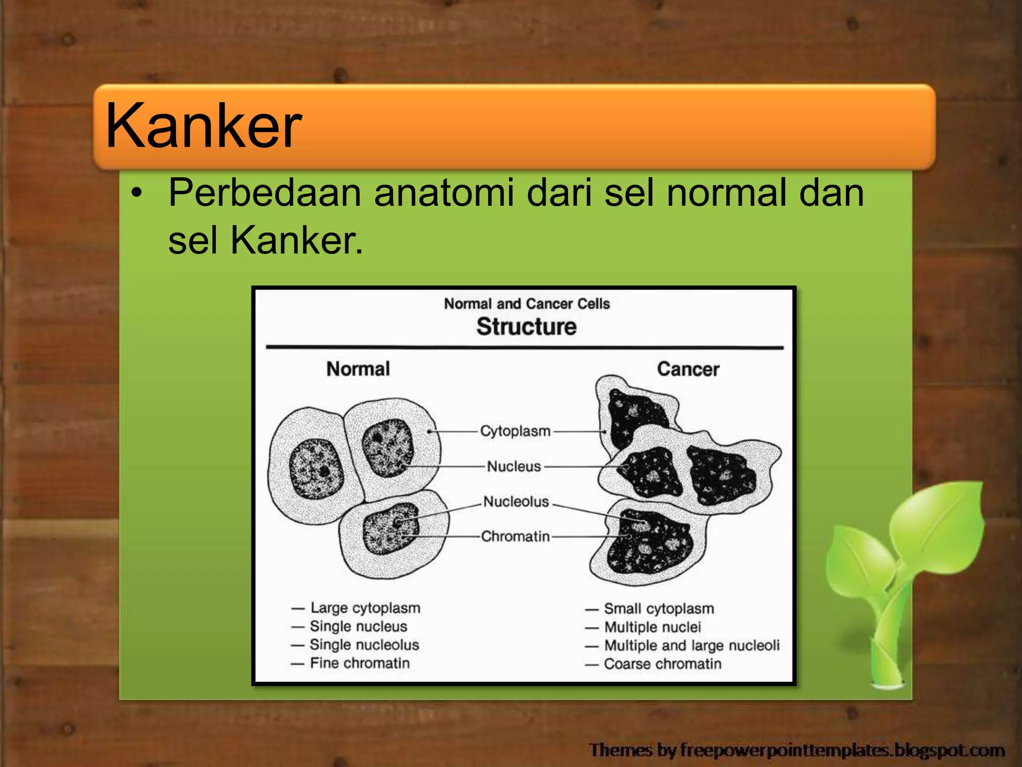 Ppt karsinogenik | PPTX