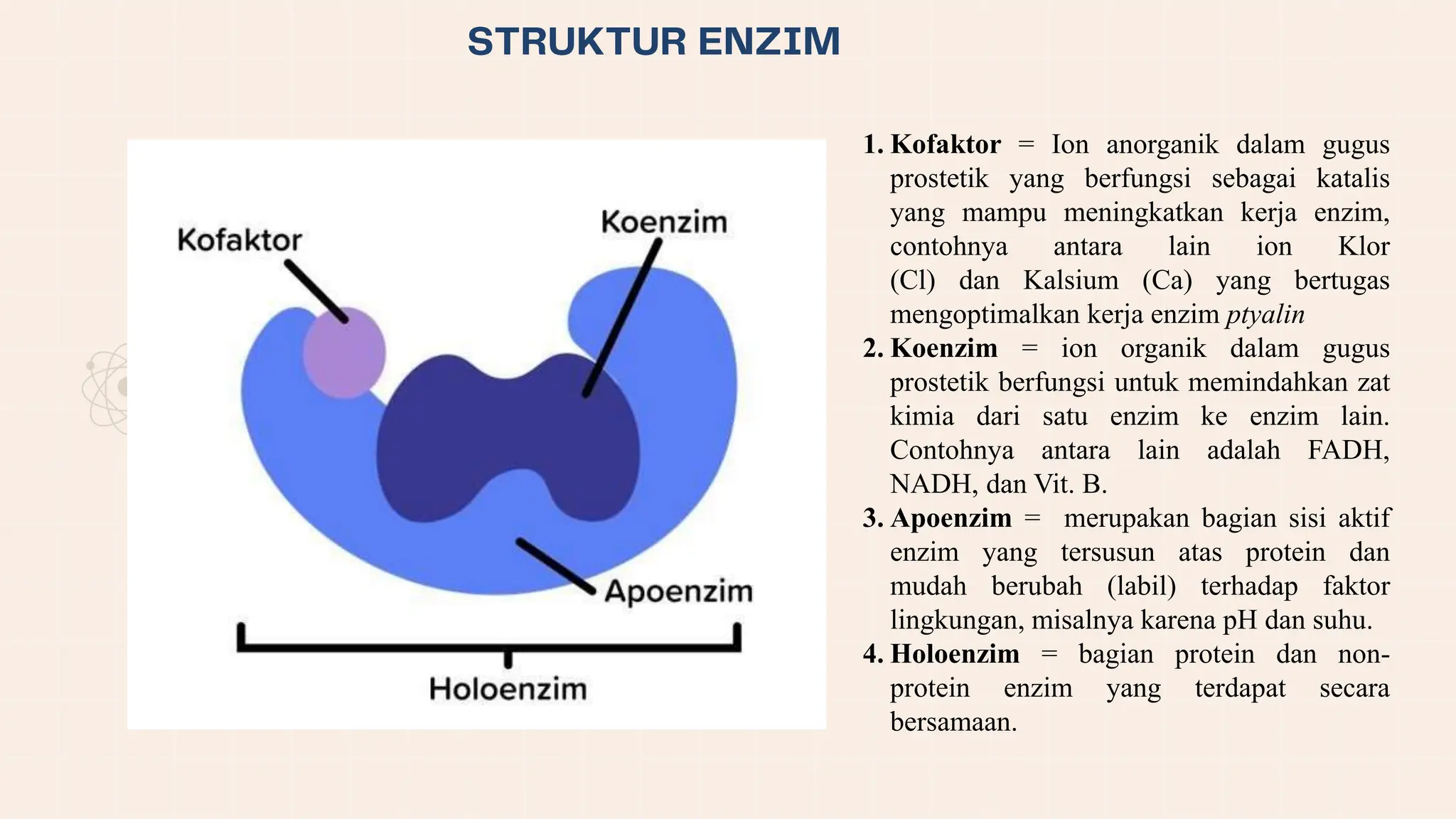 PPT Katabolisme/metabolisme biologi kelas 12.pptx