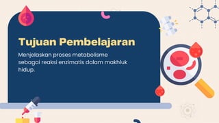 PPT Katabolisme/metabolisme biologi kelas 12.pptx