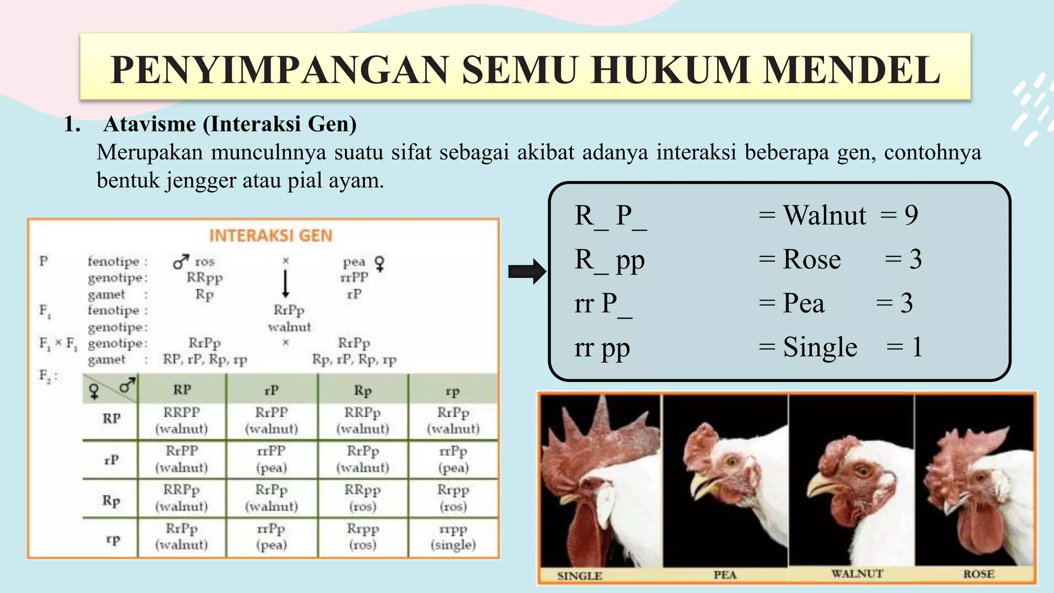 PPT KD 3.5 Pewarisan Sifat Hukum Mendel.pptx