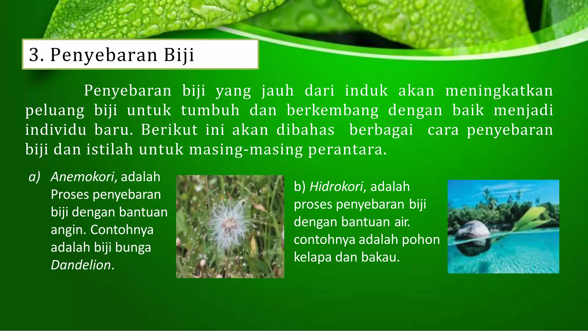 PPT KD 3.2; SISTEM PERKEMBANGBIAKAN TUMBUHAN & HEWAN.pptx