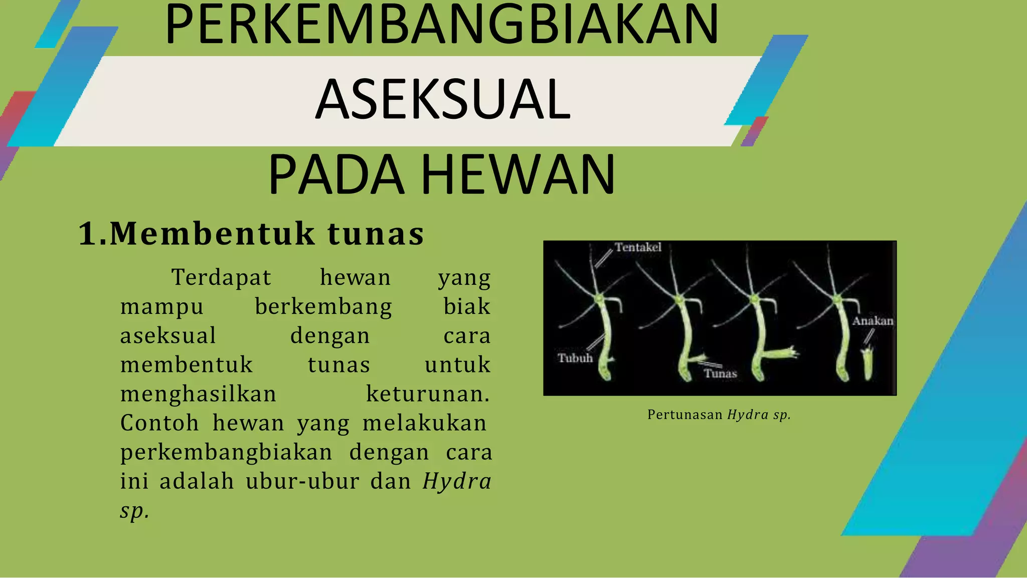 PPT KD 3.2; SISTEM PERKEMBANGBIAKAN TUMBUHAN & HEWAN.pptx