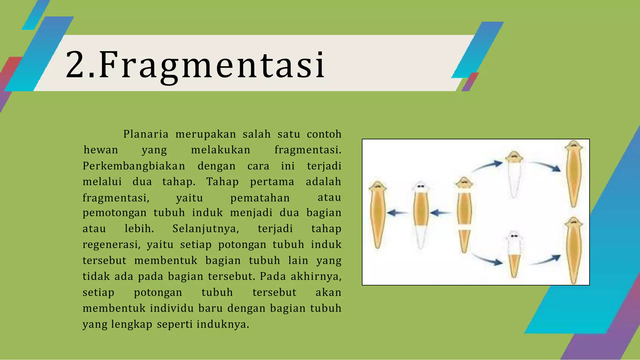PPT KD 3.2; SISTEM PERKEMBANGBIAKAN TUMBUHAN & HEWAN.pptx