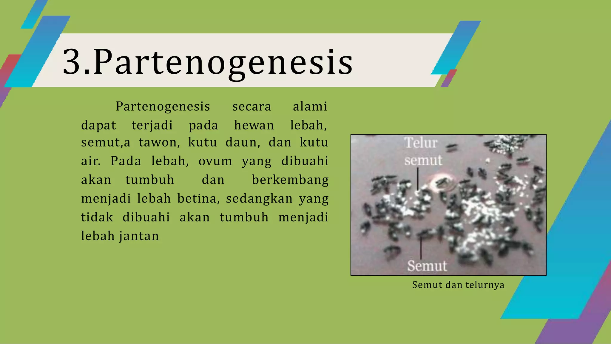 PPT KD 3.2; SISTEM PERKEMBANGBIAKAN TUMBUHAN & HEWAN.pptx