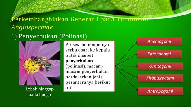 PPT KD 3.2; SISTEM PERKEMBANGBIAKAN TUMBUHAN & HEWAN.pptx