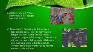 PPT KD 3.2; SISTEM PERKEMBANGBIAKAN TUMBUHAN & HEWAN.pptx
