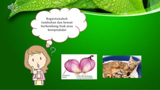PPT KD 3.2; SISTEM PERKEMBANGBIAKAN TUMBUHAN & HEWAN.pptx