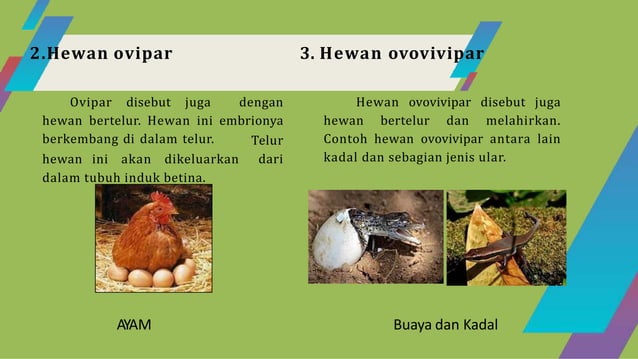 PPT KD 3.2; SISTEM PERKEMBANGBIAKAN TUMBUHAN & HEWAN.pptx