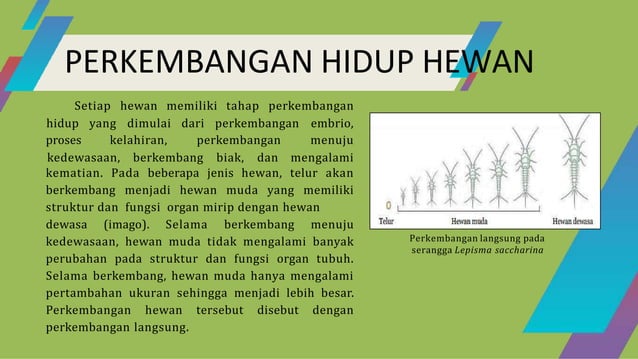 PPT KD 3.2; SISTEM PERKEMBANGBIAKAN TUMBUHAN & HEWAN.pptx
