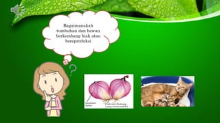 PPT KD 3.2; SISTEM PERKEMBANGBIAKAN TUMBUHAN & HEWAN.pdf