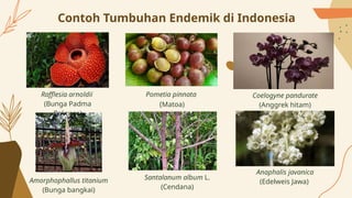 PPT KEANEKARAGAMAN HAYATI FLORA DAN FAUNA DI INDONESIA | PPTX