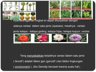 PPT KEANEKARAGAMAN MAHKLUK HIDUP.pptx