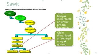 Pengolahan Hasil Perkebunan Karet, Kelapa dan Kelapa Sawit | PPTX