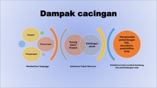 PPT KECACINGAN.pptx