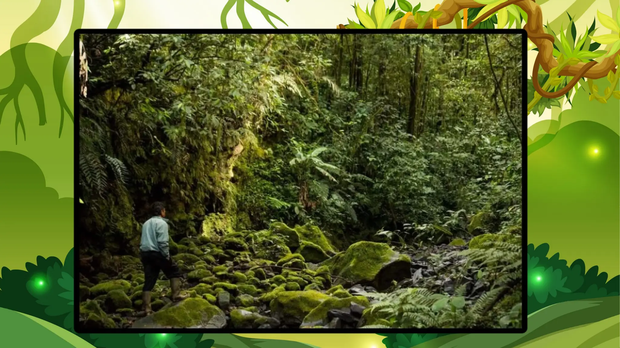ppt kehutanan,arti hutan,jenis jenis hutan.pptx