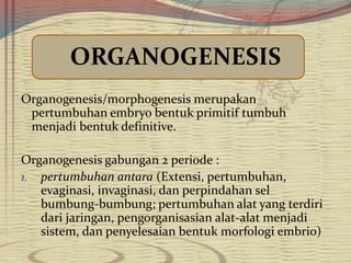 Proses pembentukan Organ penciuman dan Organogenesis | PPTX