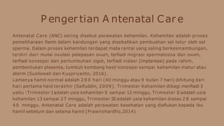 ppt kel.1 ANC maternitas.pptx