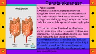 PPT KEL.4 HIRSCHPRUNGS.pptx