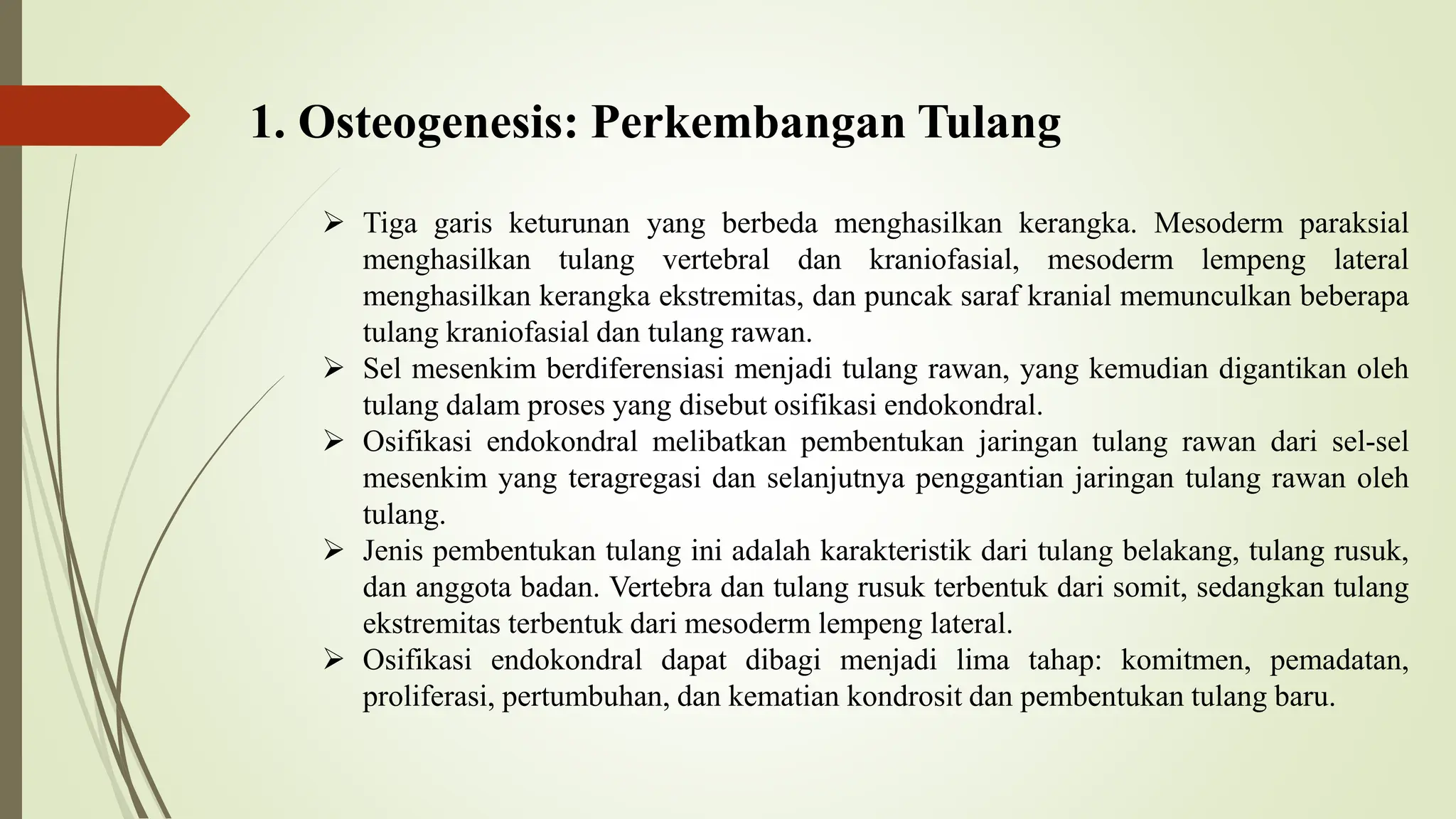PPT KEL. 2 Perkembangan Sistem Otot dan Rangka (Muscular dan skeletal ...