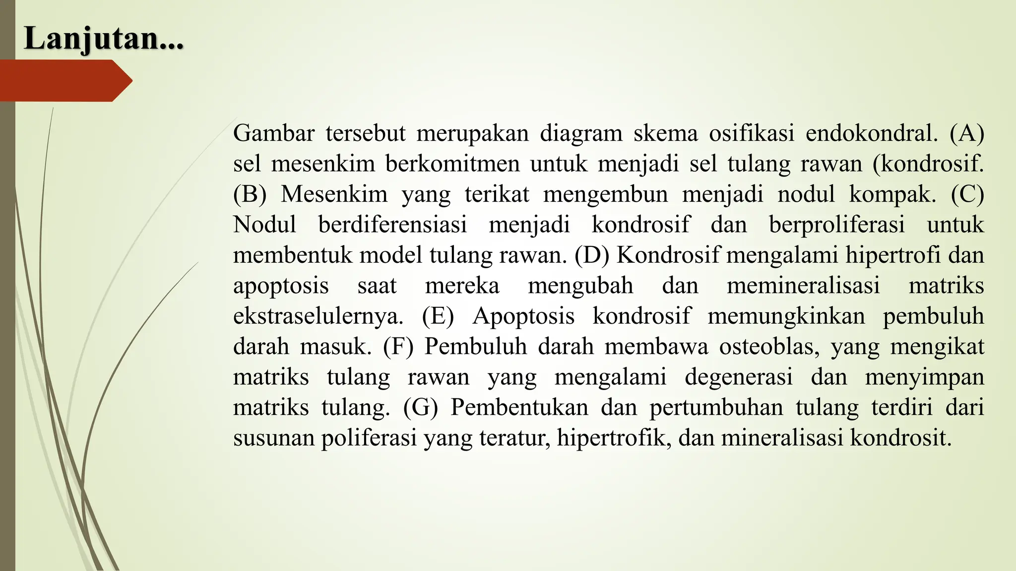 PPT KEL. 2 Perkembangan Sistem Otot dan Rangka (Muscular dan skeletal ...