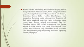 PPT KEL. 2 Perkembangan Sistem Otot dan Rangka (Muscular dan skeletal ...