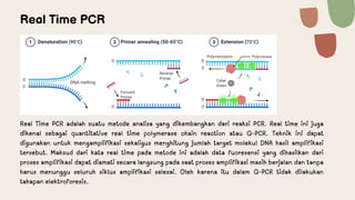 PPT KEL.3_Prinsip Deteksi DNA dan RNA.pptx