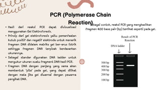 PPT KEL.3_Prinsip Deteksi DNA dan RNA.pptx