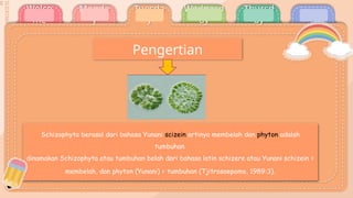 botani cryptogamae (schizophyta : bacteria & chynophyta) | PPTX