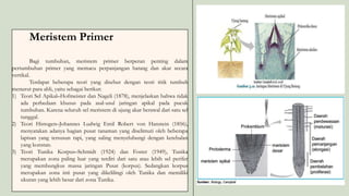 Ppt kel 1 Antum.pptx