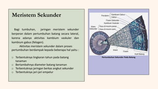 Ppt kel 1 Antum.pptx