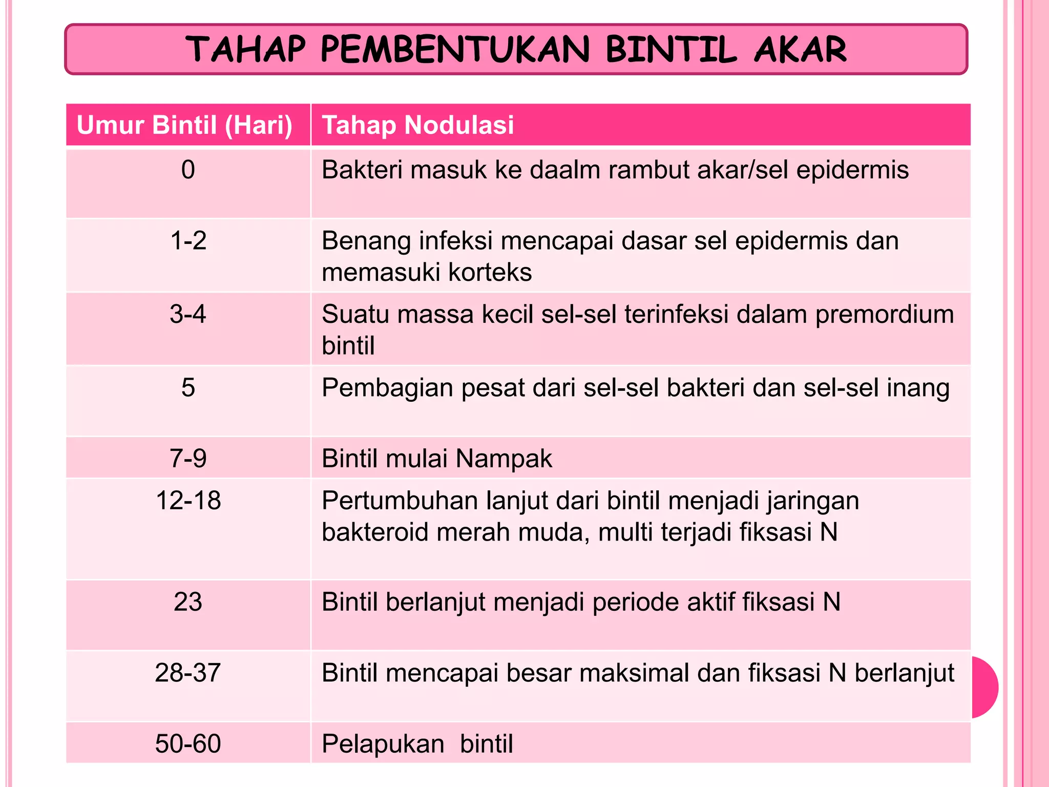 Ppinteraksi tumbuhan dengan mikroba (bakteri) | PPTX