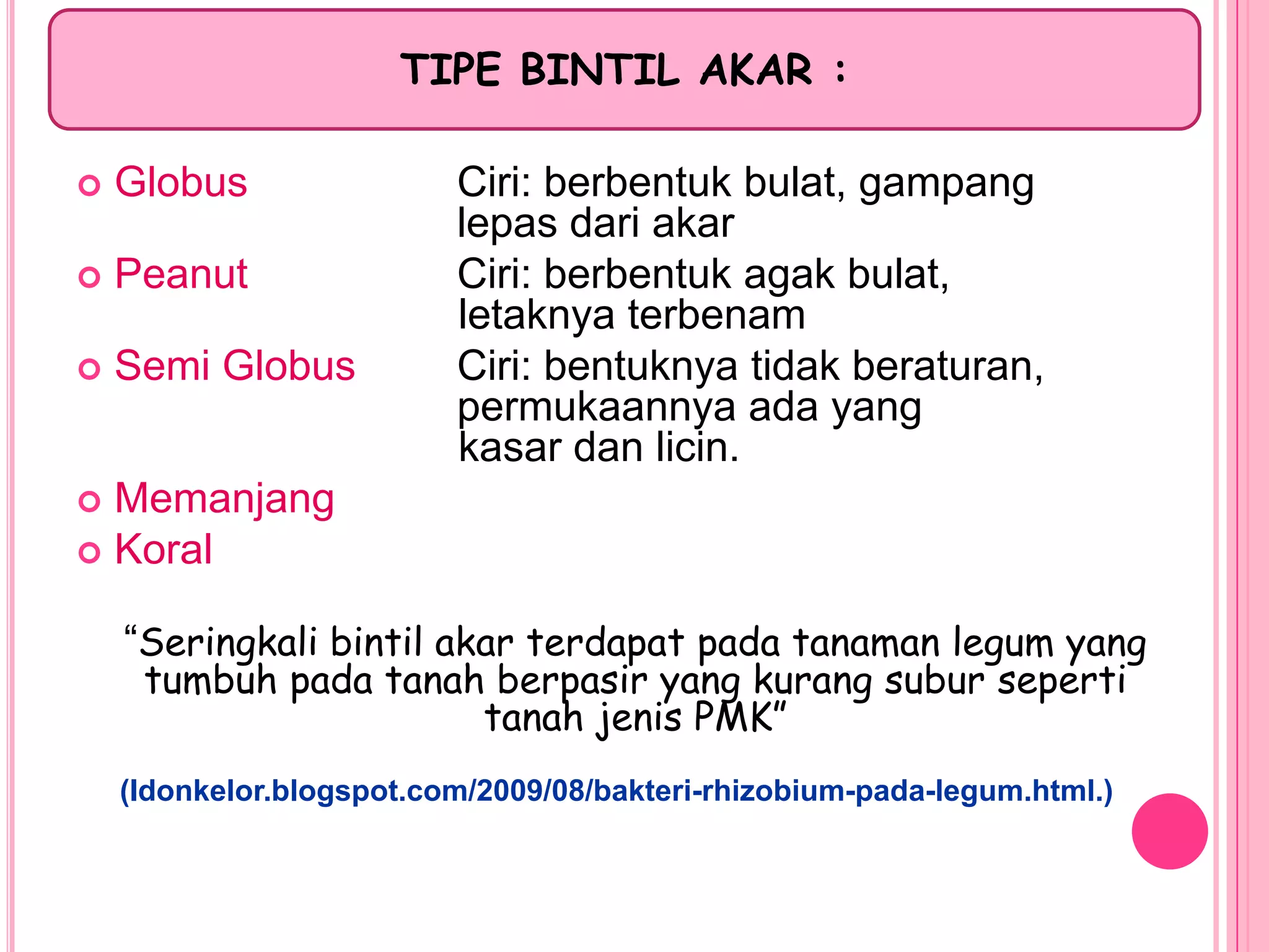 Ppinteraksi tumbuhan dengan mikroba (bakteri) | PPTX