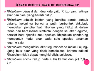 Ppinteraksi tumbuhan dengan mikroba (bakteri) | PPTX