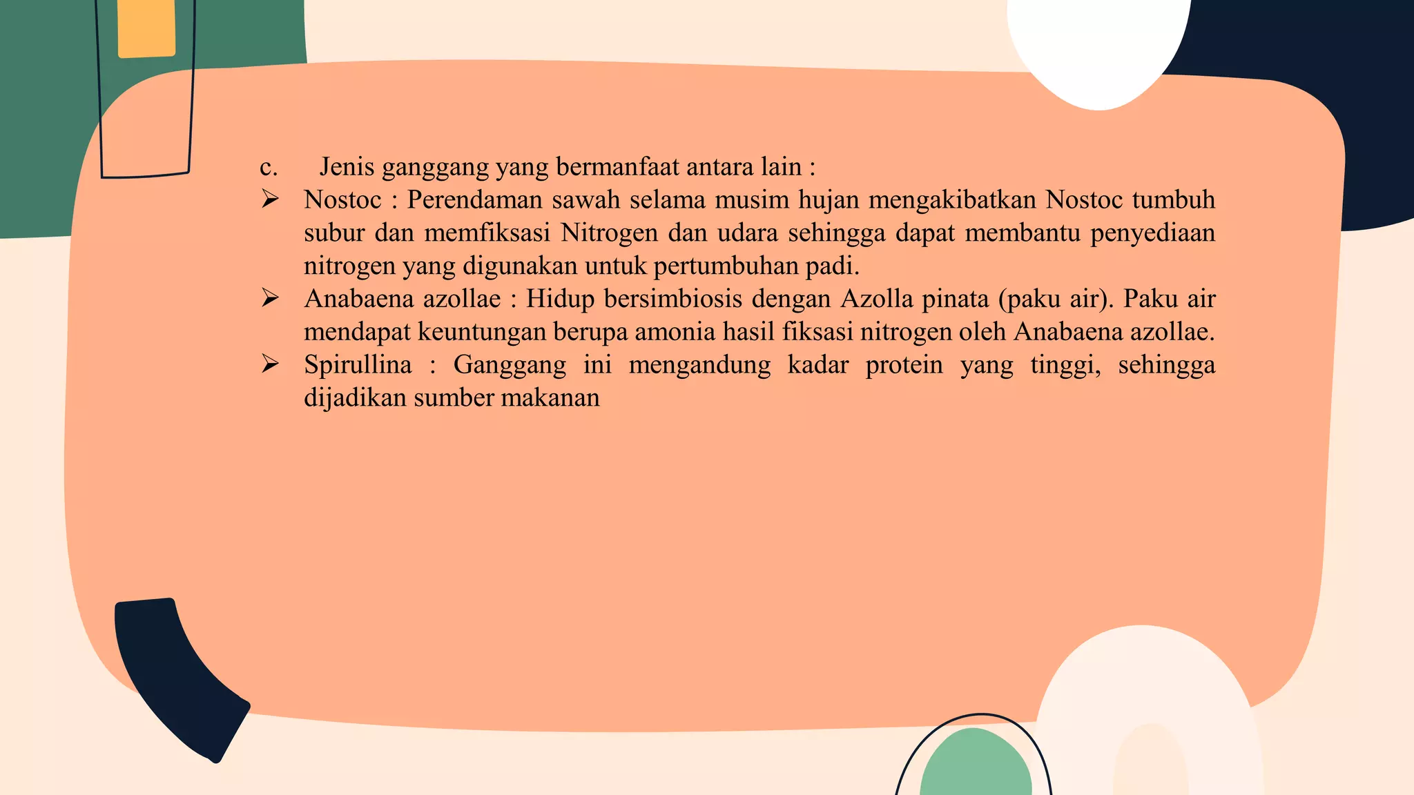 PPT (schizophyta).pptx