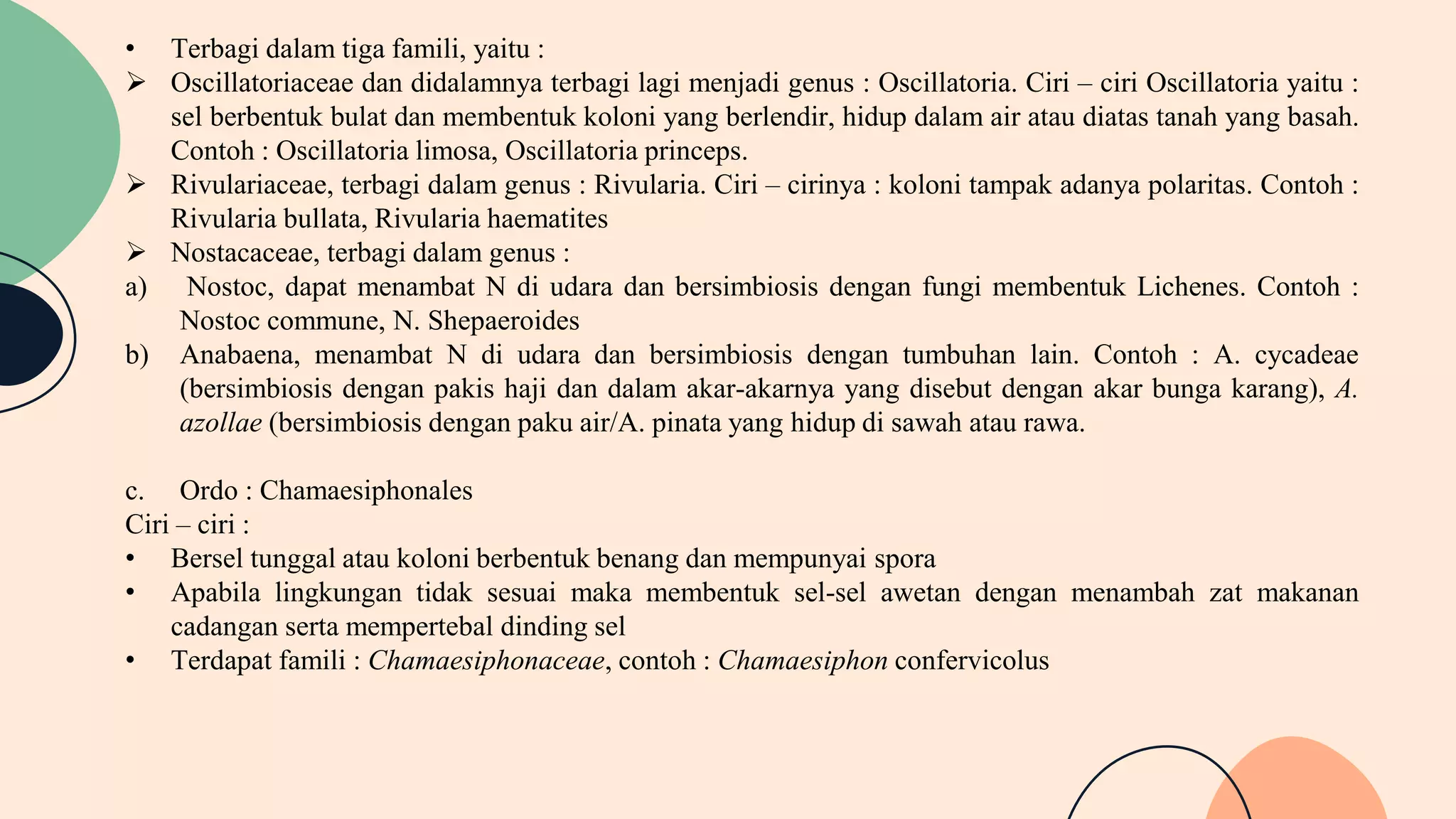 PPT (schizophyta).pptx