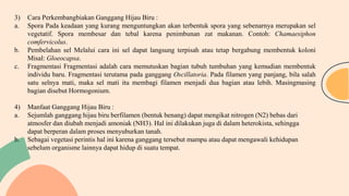 PPT (schizophyta).pptx