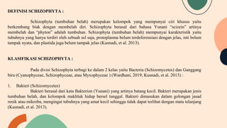 PPT (schizophyta).pptx