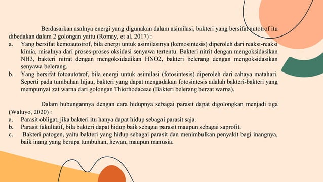 PPT (schizophyta).pptx
