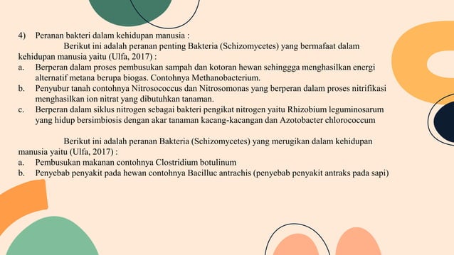 PPT (schizophyta).pptx