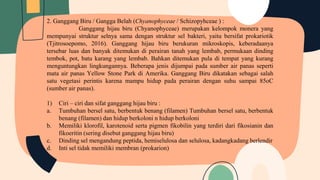 PPT (schizophyta).pptx