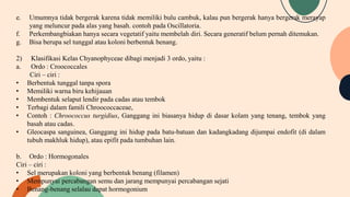 PPT (schizophyta).pptx