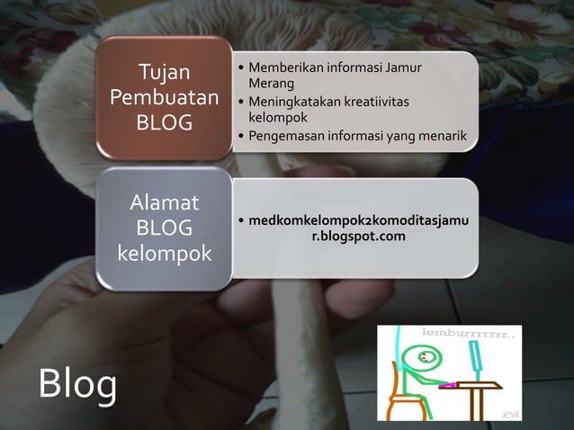 Ppt kel #2 | PPT