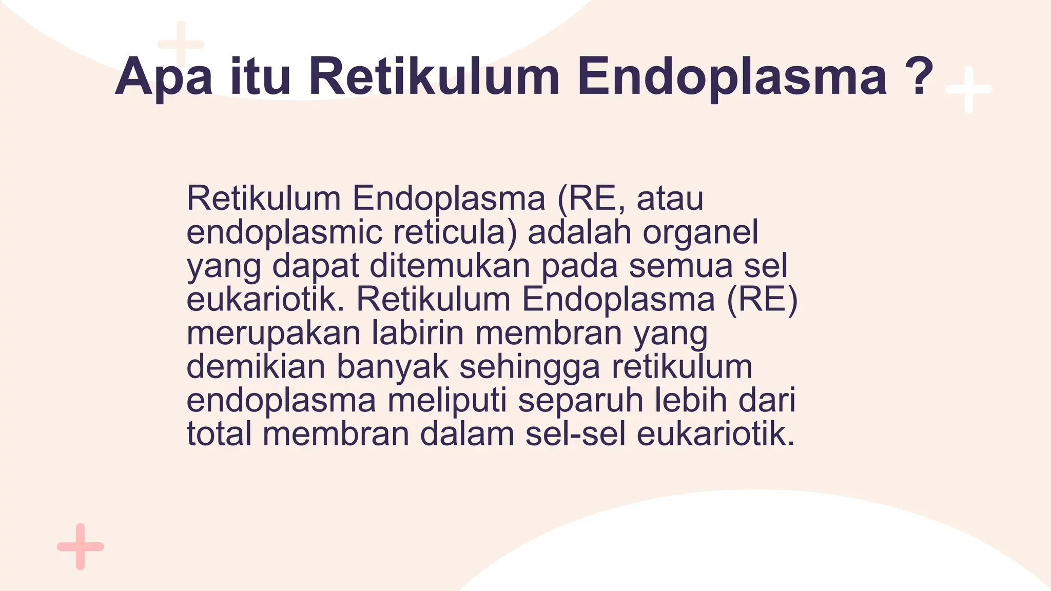 PPT KEL 2.pptx