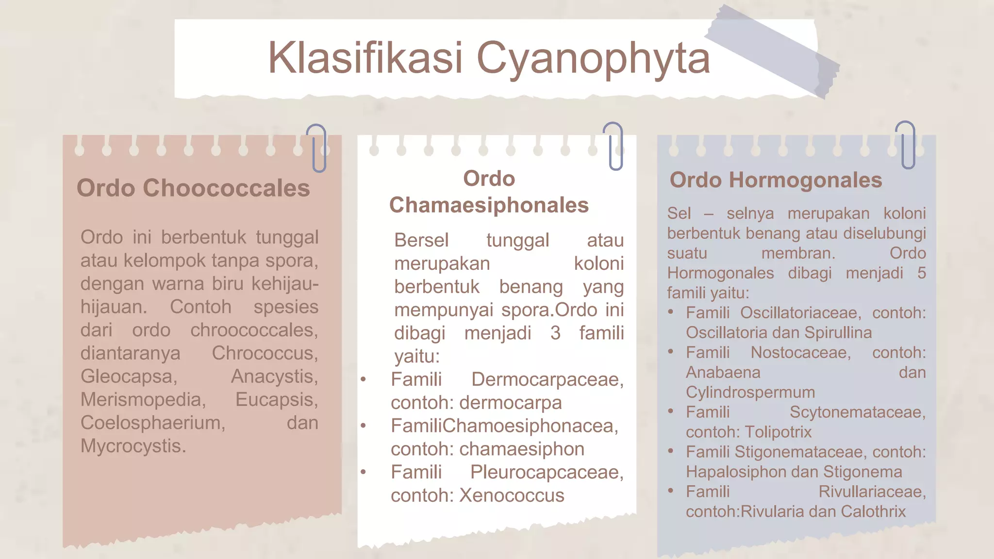 PPT CYANOPHYTA.pptx