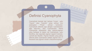 PPT CYANOPHYTA.pptx