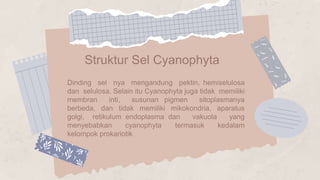 PPT CYANOPHYTA.pptx